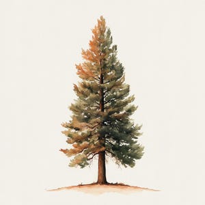 10 Printable Sequoia Tree, Watercolor Tree, Sequoia Tree Art, Green ...