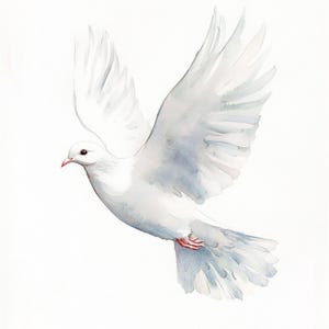 10 Printable White Dove, Peace Dove, Printable Watercolor Clipart ...
