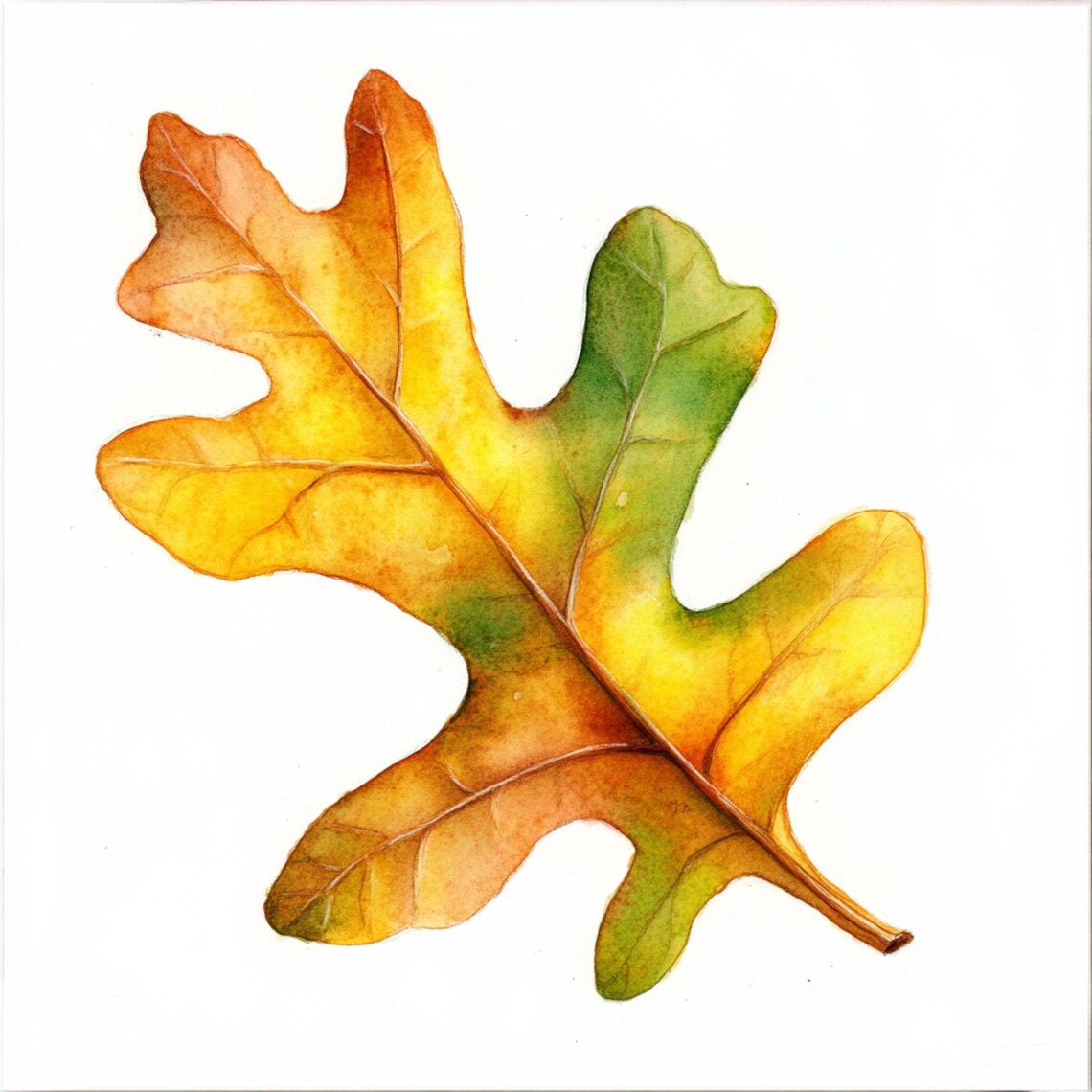 10 Printable Oak Leaf, Watercolor Fall Leaf, Botanical Art, Yellow Leaf ...