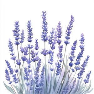 10 Printable Lavender Border, Watercolor Flower, Lavender Botanical ...