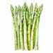 10 Printable Asparagus Art, Watercolor Asparagus, Asparagus Print ...