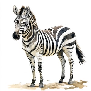 10 Printable Zebra, Watercolor Beautiful Wildlife Runing Zebra Clipart ...