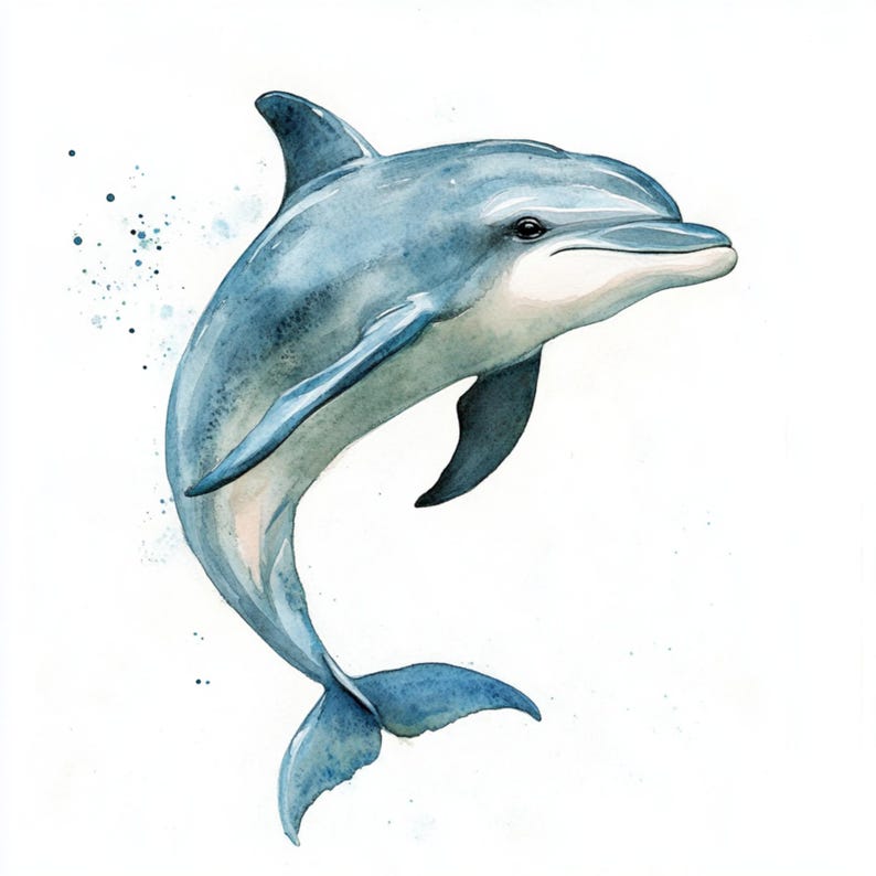 Printable Dolphin Clipart, Dolphin Watercolor, 10 Nautical Clip Art ...