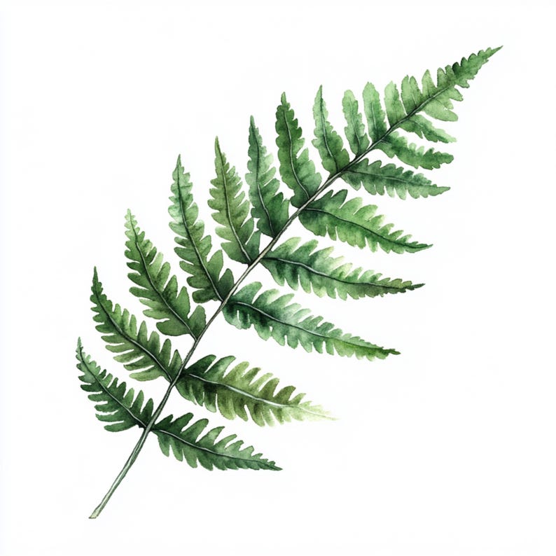 Printable Fern Leaf Decor, Watercolor Images, Fern Botanical Art, Clip ...