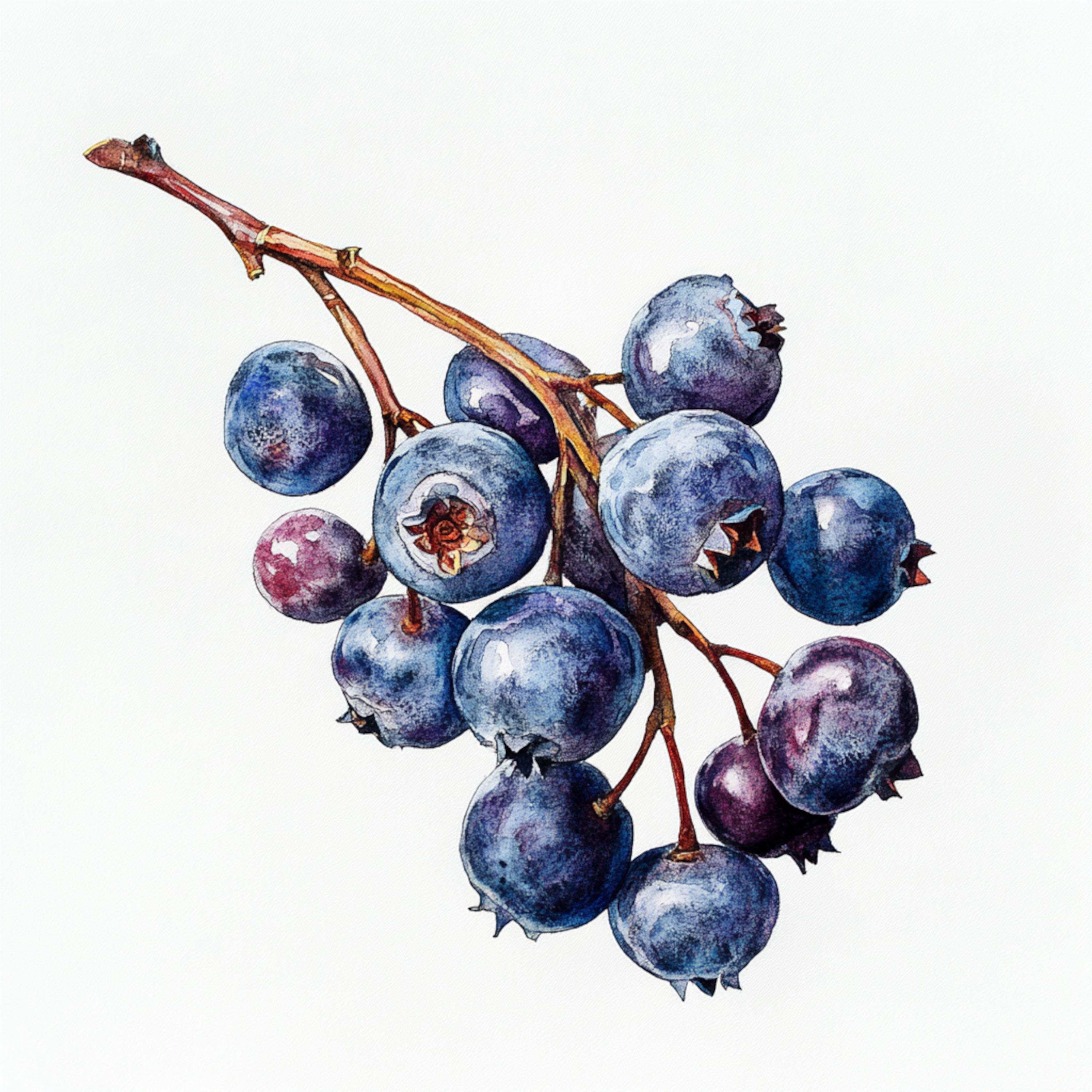 Printable Blueberry Decor, Watercolor Blueberry, Blueberry Art, 10 Clip ...