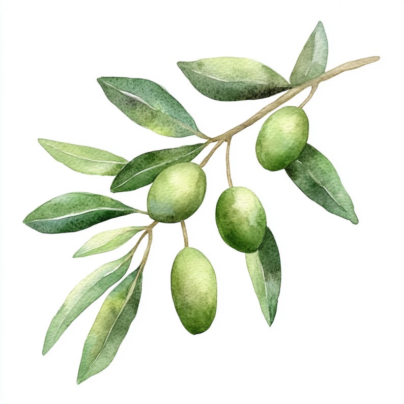10 Printable Olives Branches, Watercolor Geen Olives, Mediterranean ...