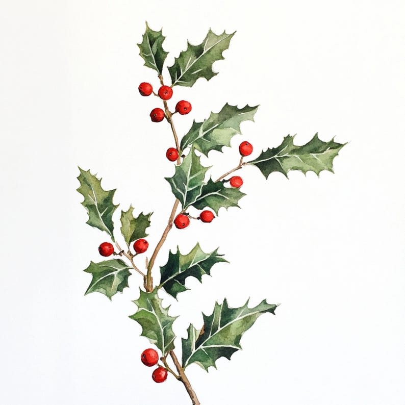 10 Printable Holly Berry Watercolor Art, Christmas Evergreen Decor ...