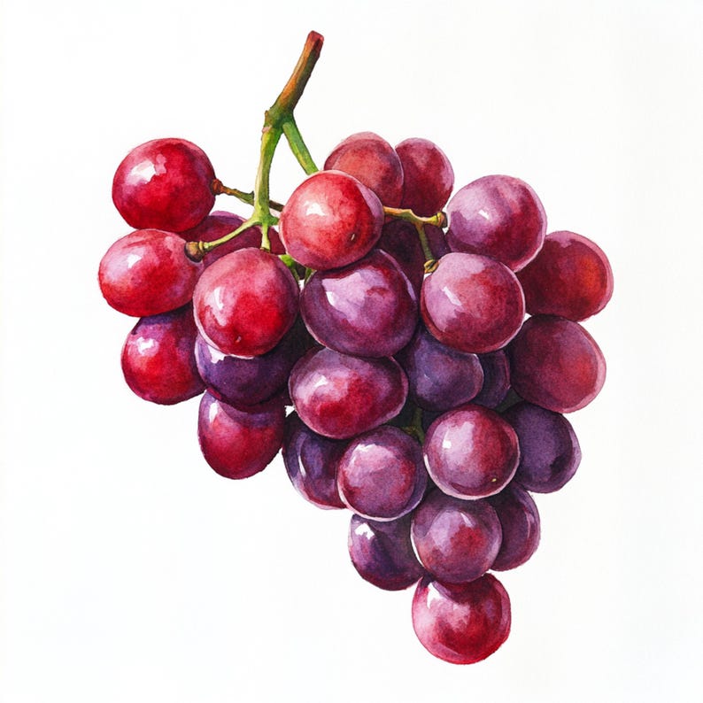 10 Printable Bunch of Grapes Dark Red, Grapes Painting, Bunch of Grapes ...