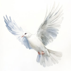 10 Printable White Dove, Peace Dove, Printable Watercolor Clipart ...