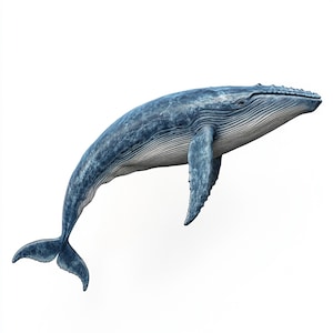 10 Printable Blue Whale Clipart, Whale Watercolor, Nautical Clip Art ...