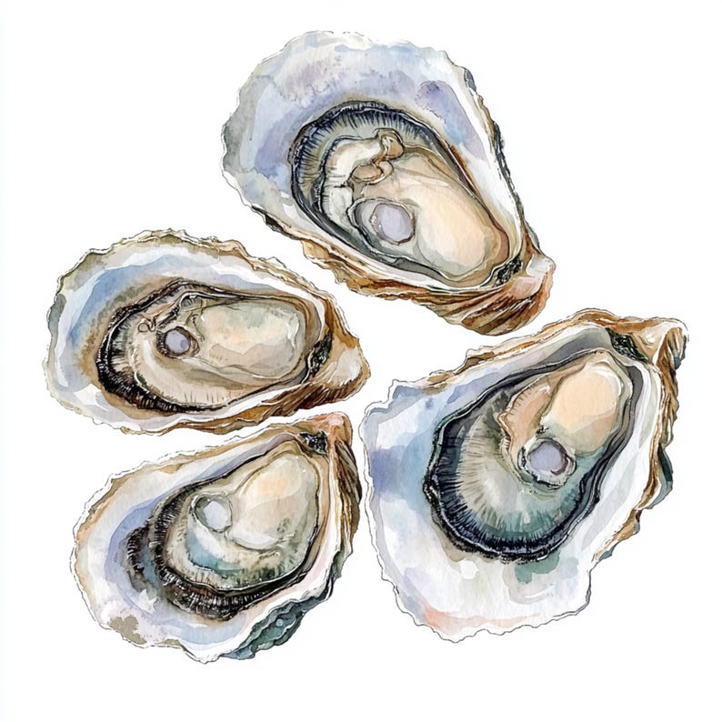 Printable Oyster Clipart, Oyster Watercolor, Nautical Clip Art ...