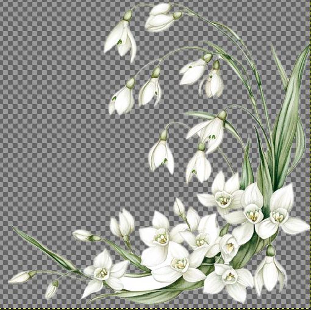 10 Pngs, Printable Snowdrops Corner, Watercolor White Flowers ...