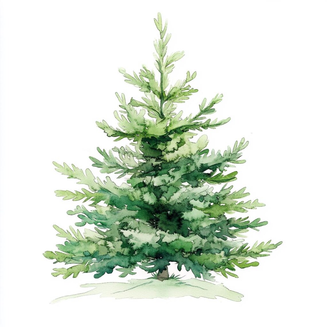 Christmas Tree, Watercolor Style, Christmas Tree Clipart, 10 Clip Art ...