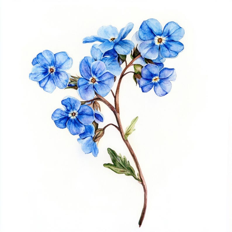 10 Printable Blue Forget Me Not, Watercolor Blossom, Spring Clipart ...