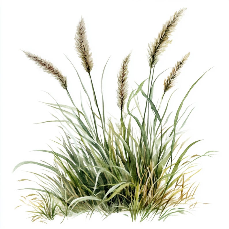 10 Printable Meadow Grass Arts, Watercolor Grassland Plant, Grass ...