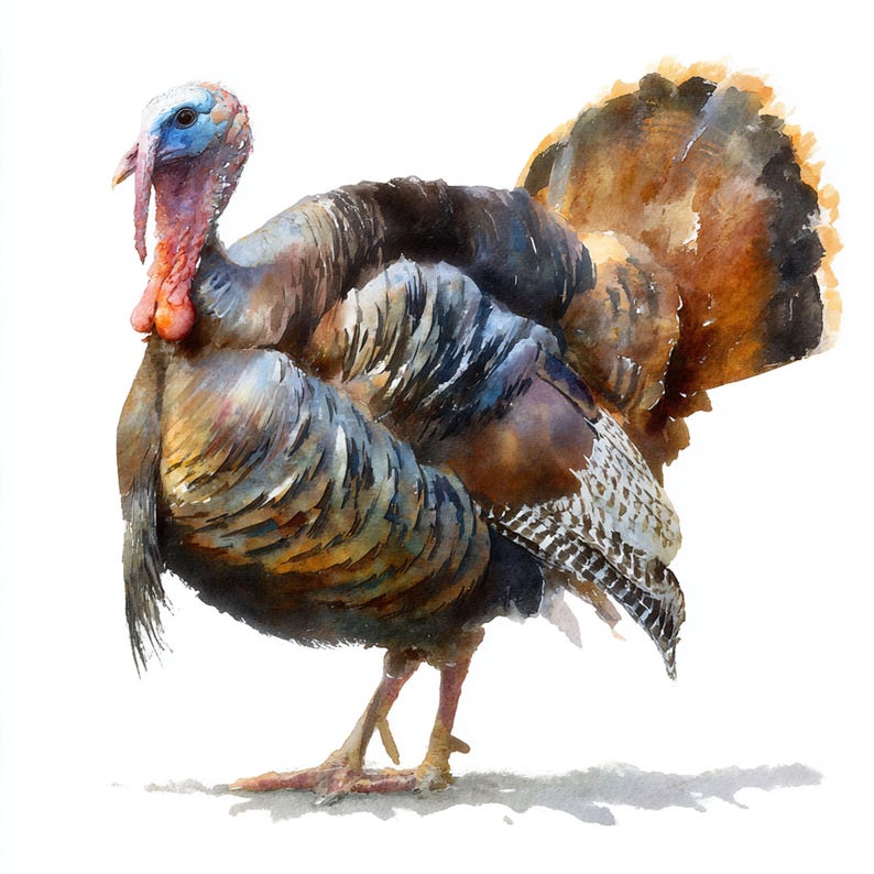 12 Printable Turkey Clipart, Watercolor Thanksgiving, Cute Clipart ...