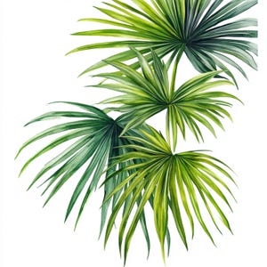 Printable Palm Leaves Decor, Watercolor 10 Images, Palm Leaves ...