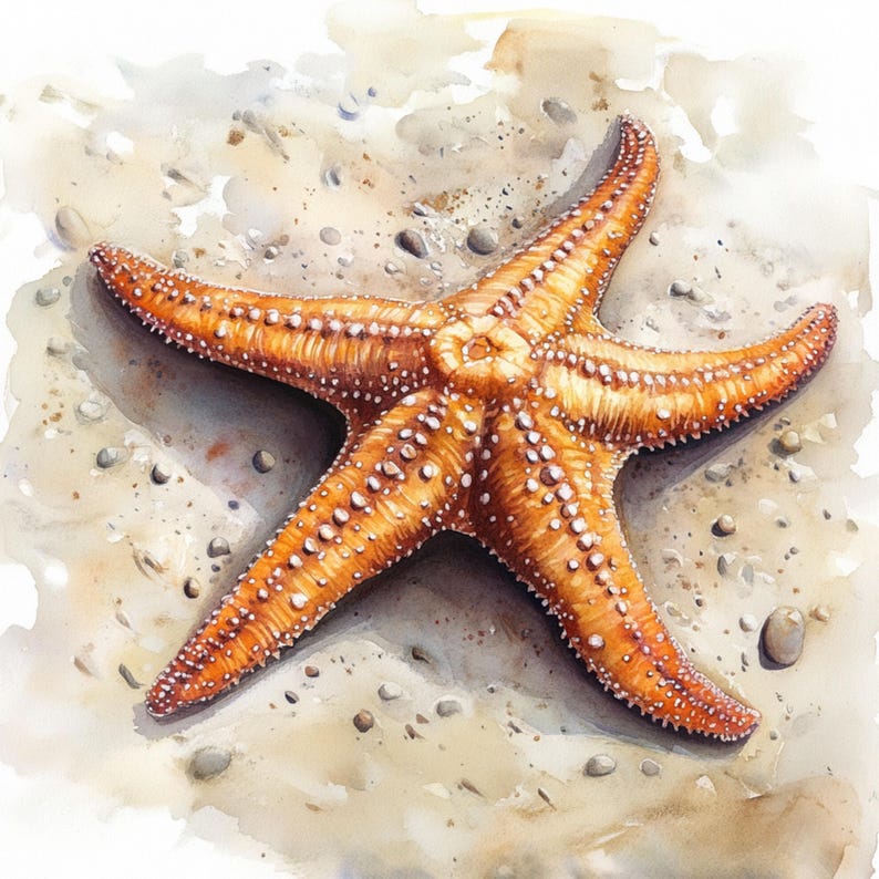 Printable Sea Star Clipart, Starfish Watercolor, Nautical Clip Art ...