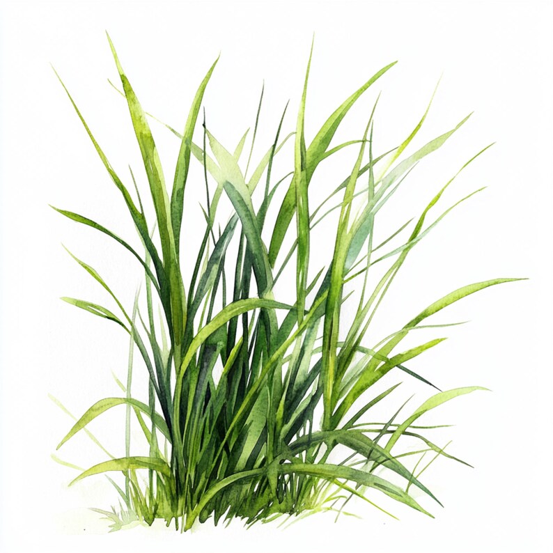 Printable Madow Grass Decor, Watercolor Grassland Flowers, Grass ...