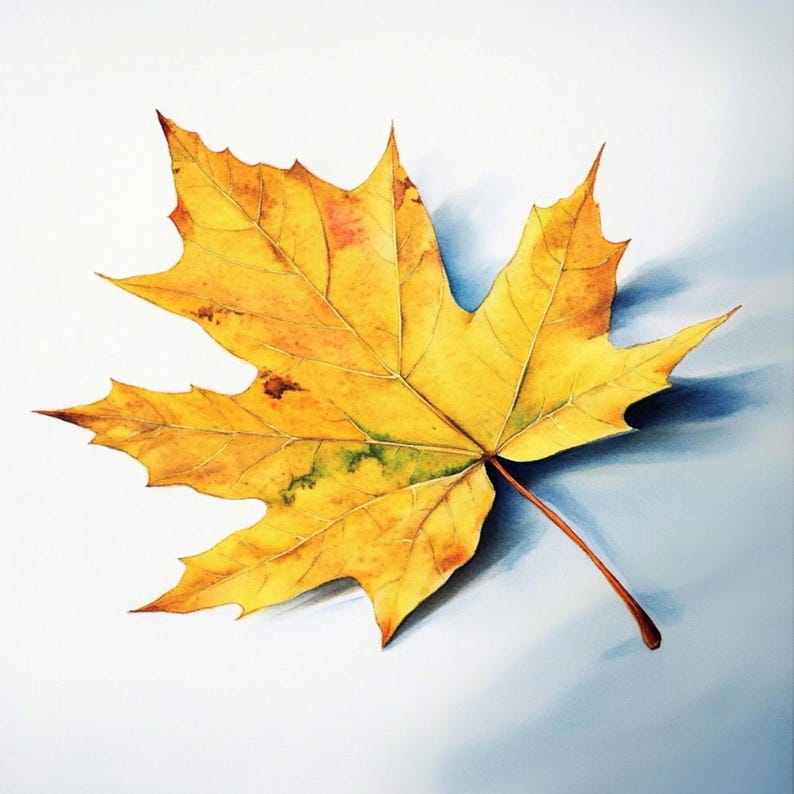 10 Printable Maple Leaf, Watercolor Fall Leaf, Botanical Art, Yellow ...