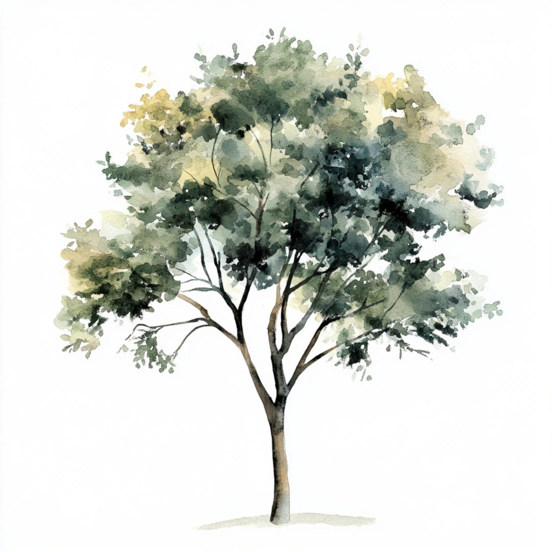 Printable Minimalist Tree, Watercolor Tree, 10 Images, Botanical Art ...