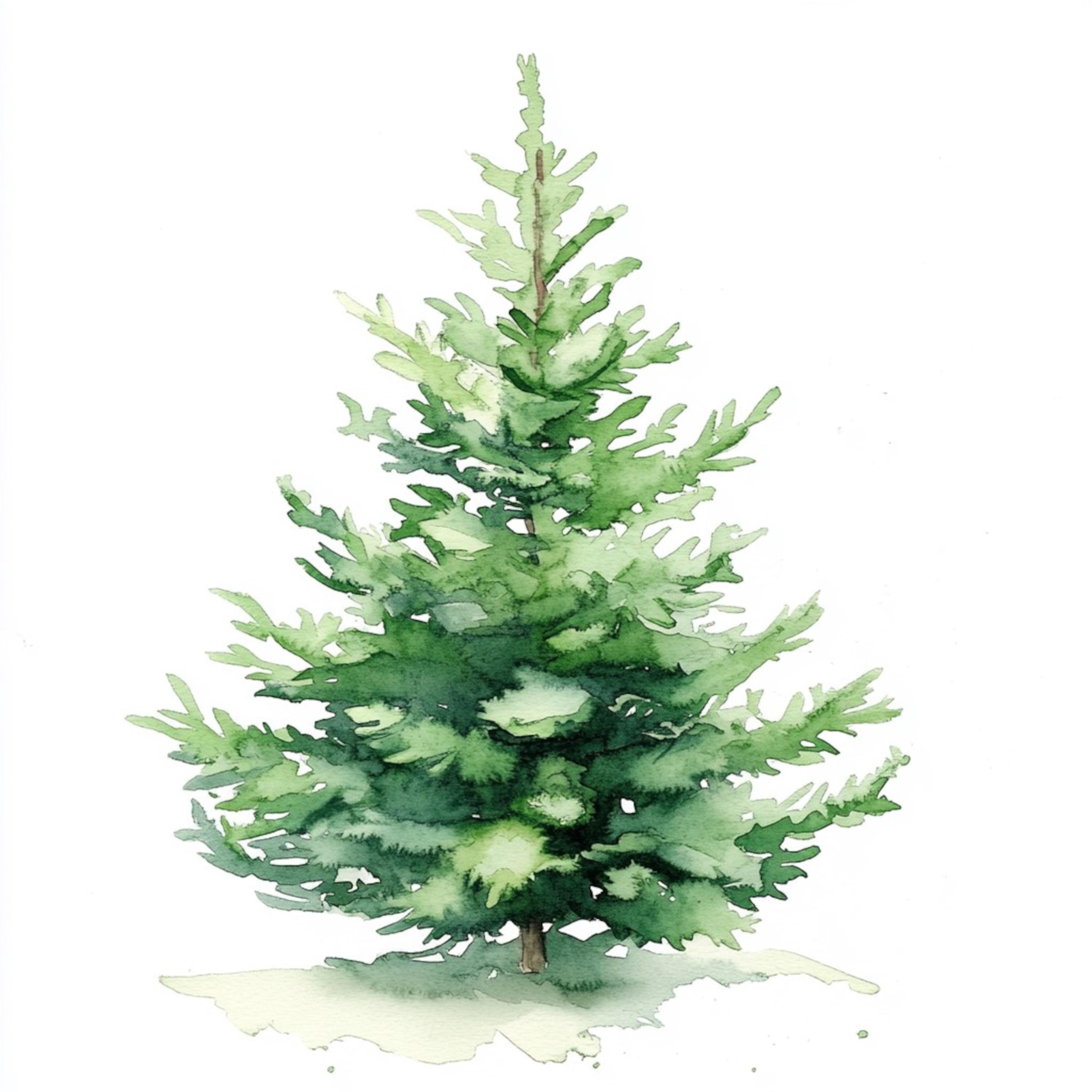 Christmas Tree, Watercolor Style, Christmas Tree Clipart, 10 Clip Art ...