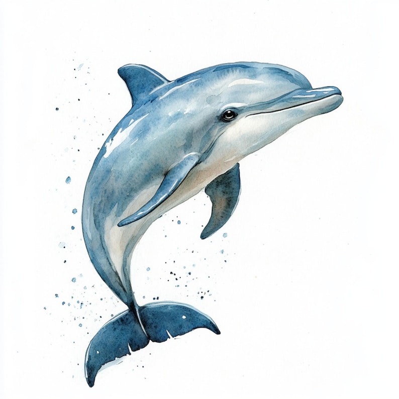 Printable Dolphin Clipart, Dolphin Watercolor, 10 Nautical Clip Art ...