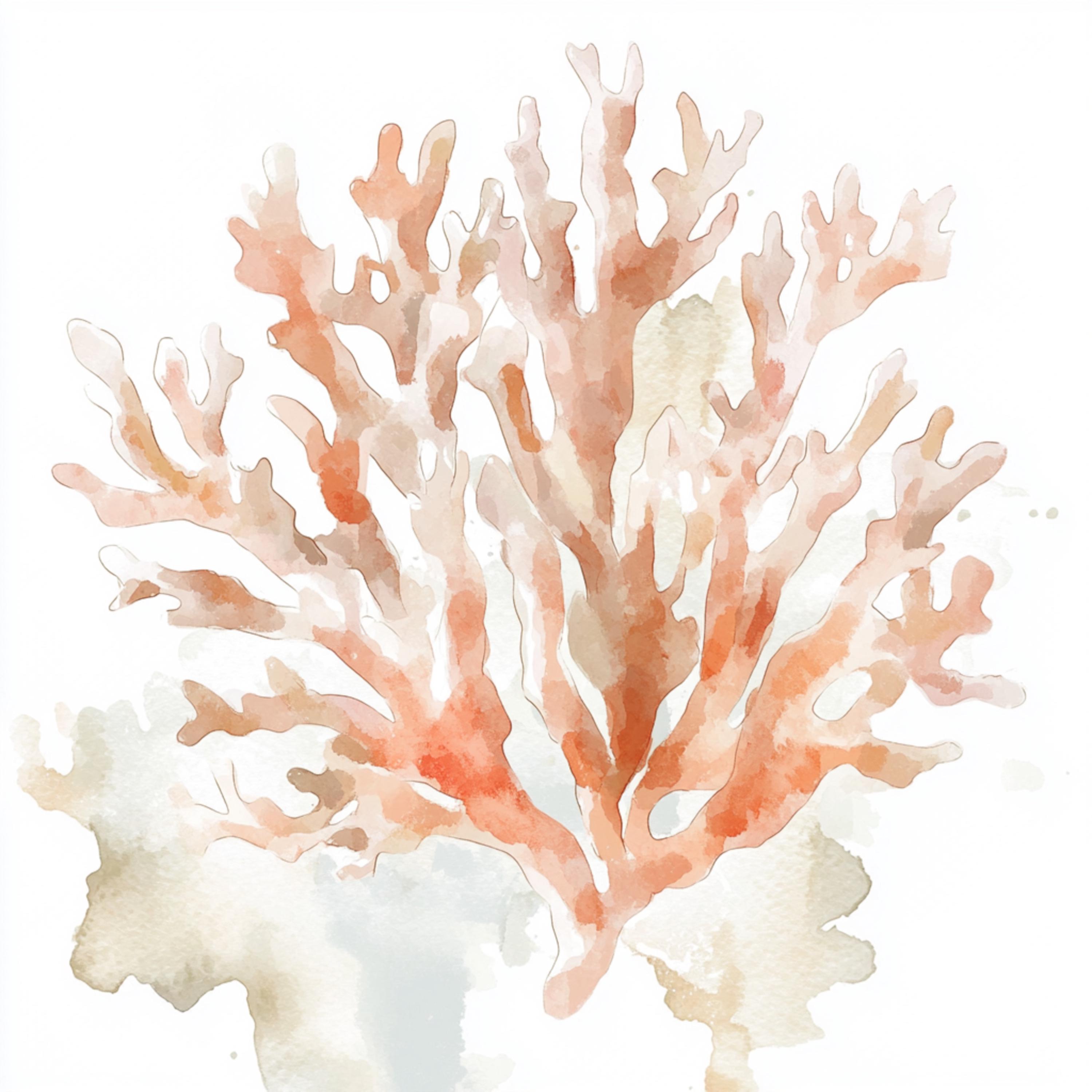 10 Printable Corals Clipart, Corals Watercolor, Nautical Print, Sea ...