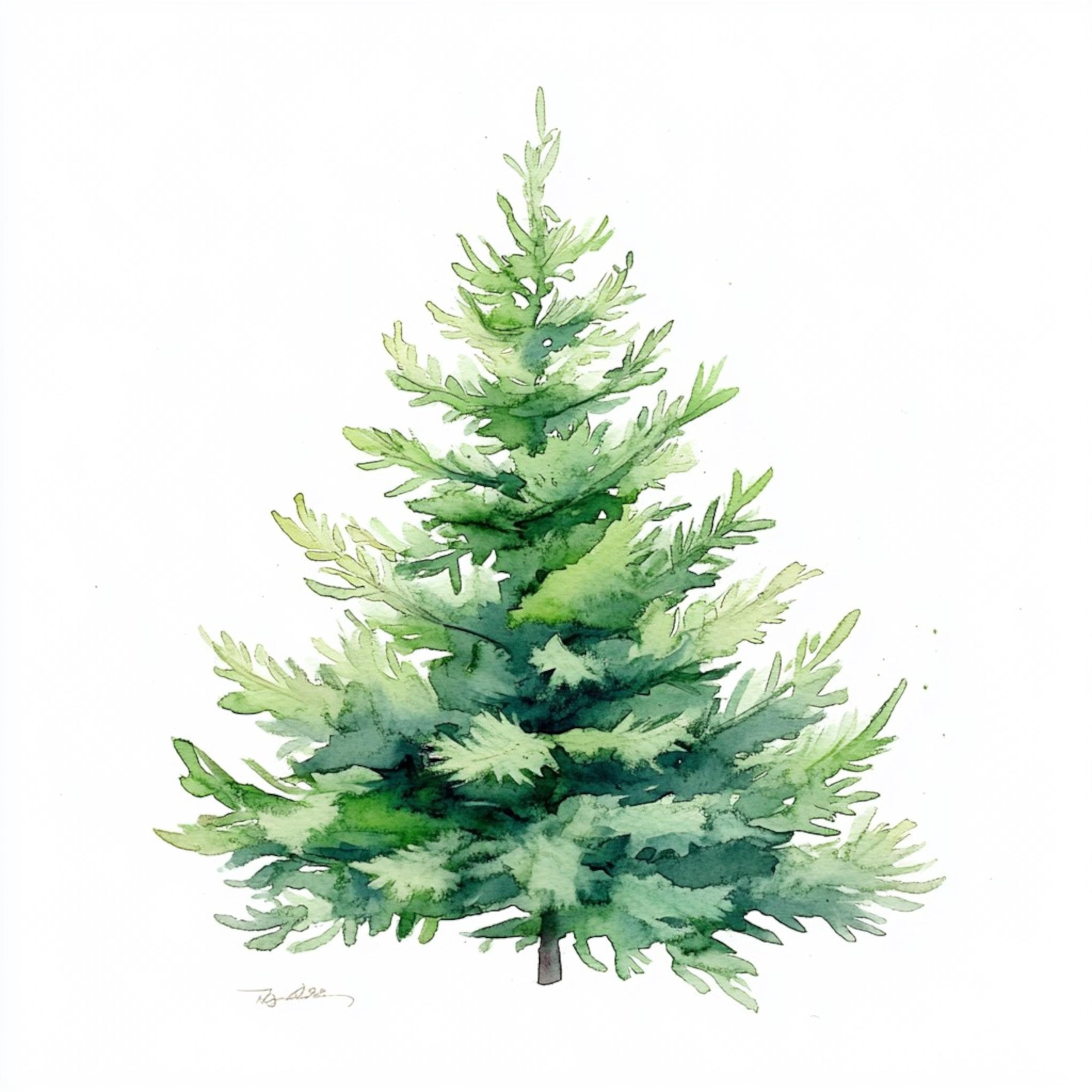 Christmas Tree, Watercolor Style, Christmas Tree Clipart, 10 Clip Art ...