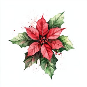 Christmas Poinsettia, Watercolor Images, Christmas Star Clipart, 10 ...