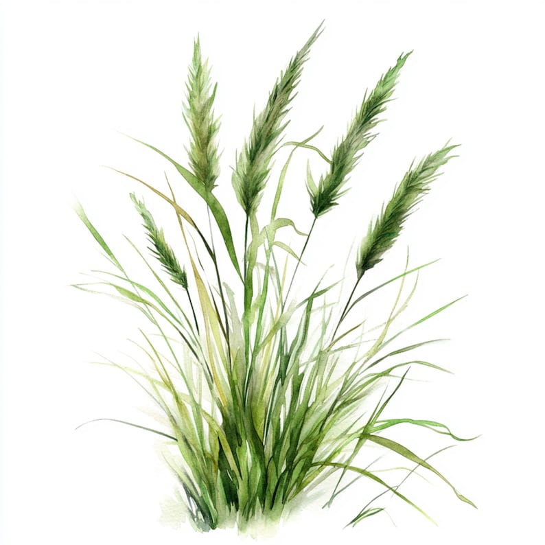 10 Printable Meadow Grass Arts, Watercolor Grassland Plant, Grass ...