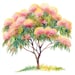 10 Printable Mimosa Tree, Watercolor Blossom Mimosa, Persian Silk Tree ...