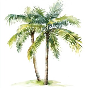 10 Printable Palm Trees, Watercolor Tree, Botanical Art, Green Tree ...