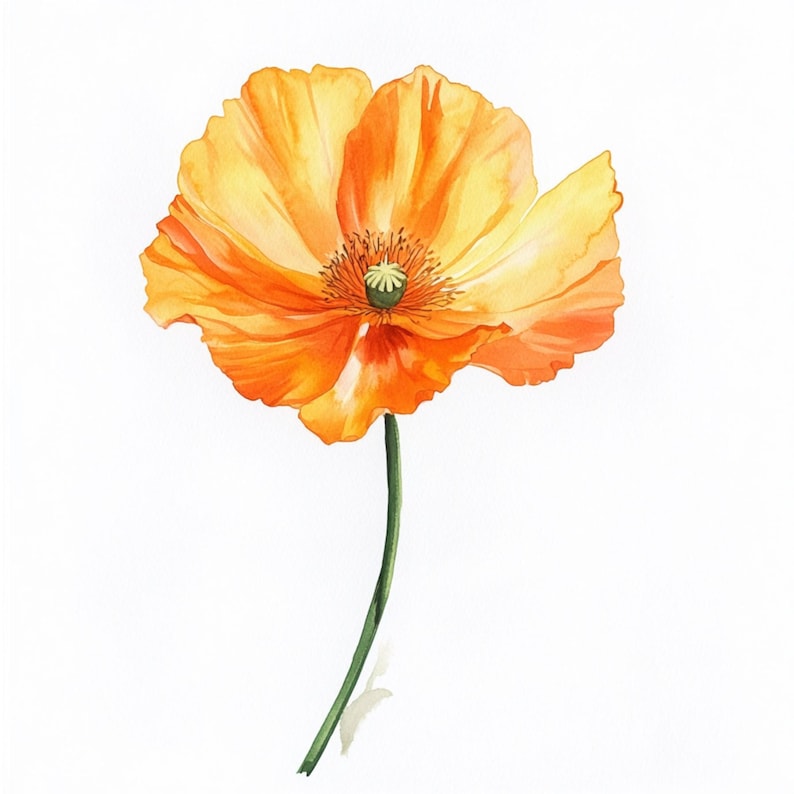 Printable California Poppy Decor, Watercolor Images, Orange Poppies ...