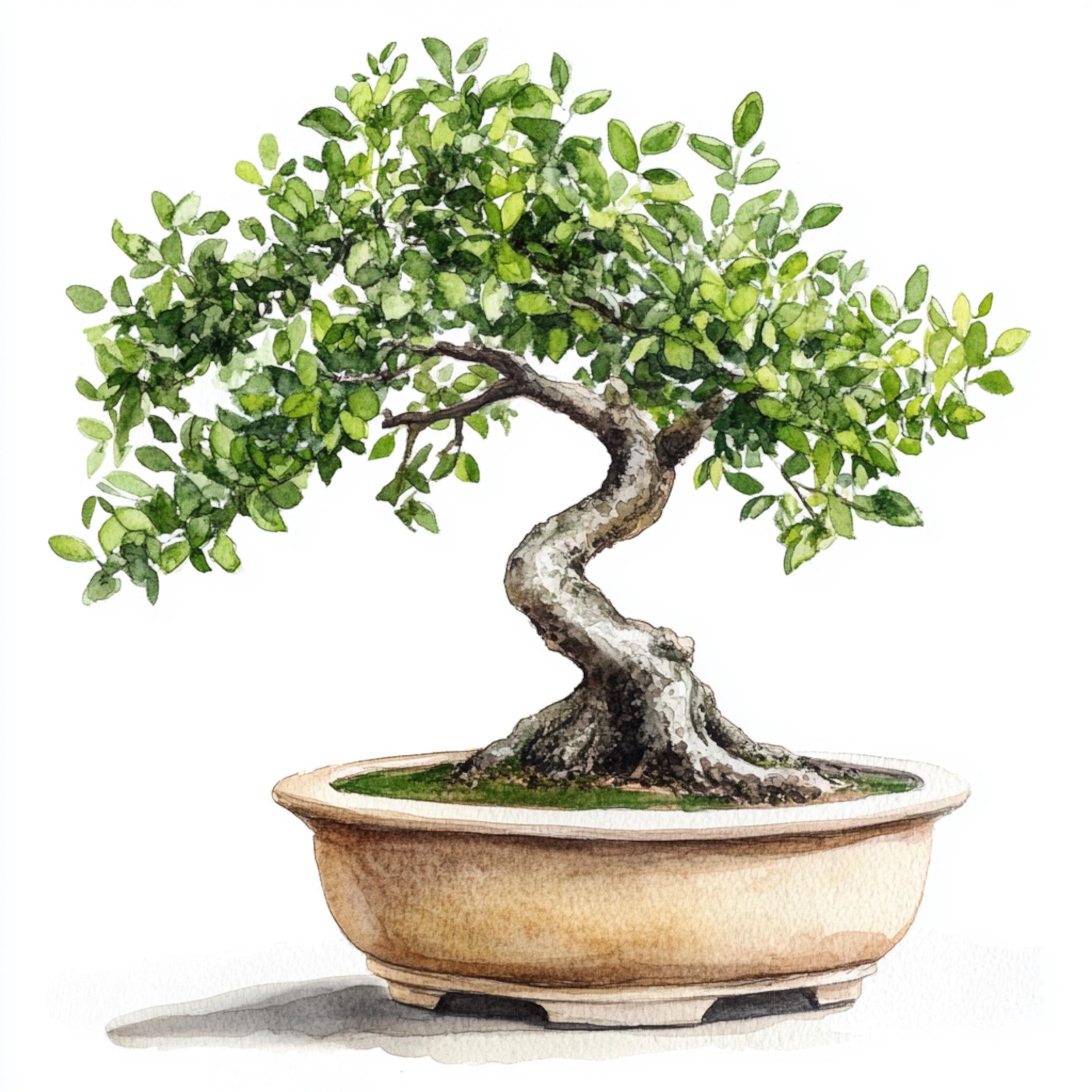 Printable Bonsai Tree, Watercolor Bonsai in Pot, 10 Images, Bonsai ...
