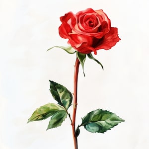 10 Printable Red Rose Arts, Watercolor Rose Bud, Rose Bud Botanical Art ...