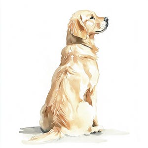 Labrador Sitting Back Retriever Clipart, Labrador Dog, Watercolor Art ...
