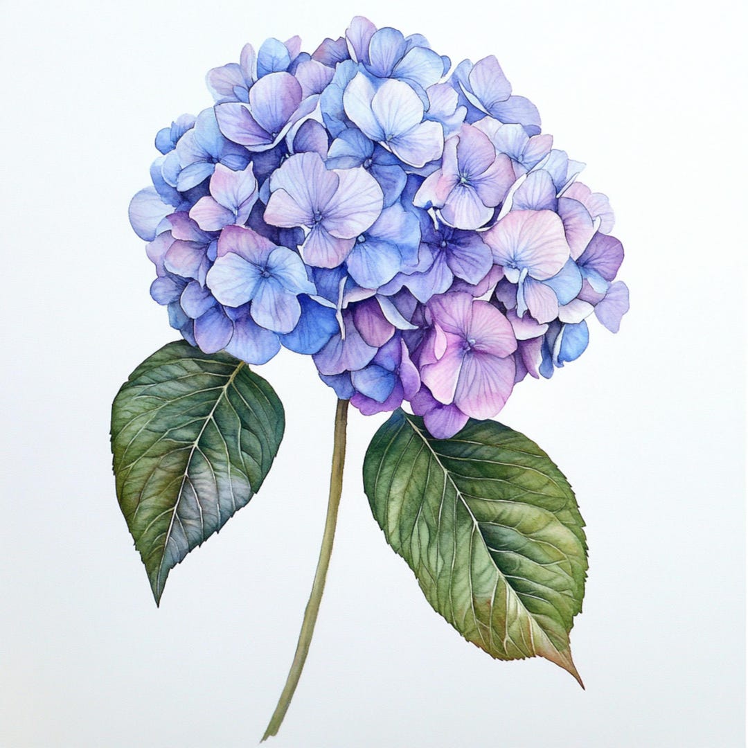 10 Printable Hydrangea Flower, Blue Flower, Housewarming Gift Art, Watercolor Clipart, Hydrangea ...