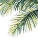 Printable Palm Leaves Decor, Watercolor 10 Images, Palm Leaves ...