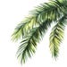 Printable Palm Leaves Decor, Watercolor 10 Images, Palm Leaves ...