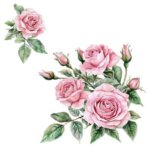 10 Printable Roses Corner, Watercolor Pink Roses, Rose Clip Art ...