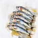 Printable Sardines Art, Watercolor Fish on Newspaper, Sea Food Decor ...