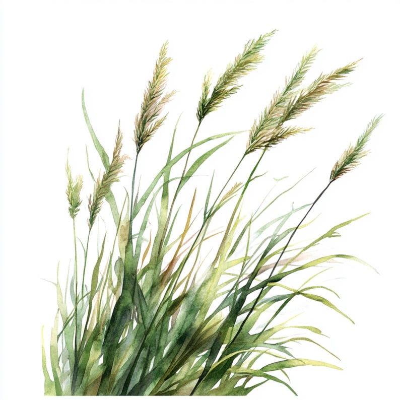 Printable Madow Grass Decor, Watercolor Grassland Flowers, Grass ...