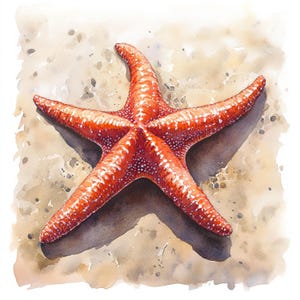Printable Sea Star Clipart, Starfish Watercolor, Nautical Clip Art ...