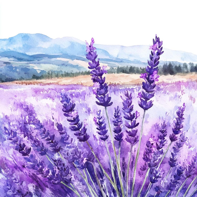 10 Printable Lavender Border, Watercolor Flower, Lavender Botanical ...