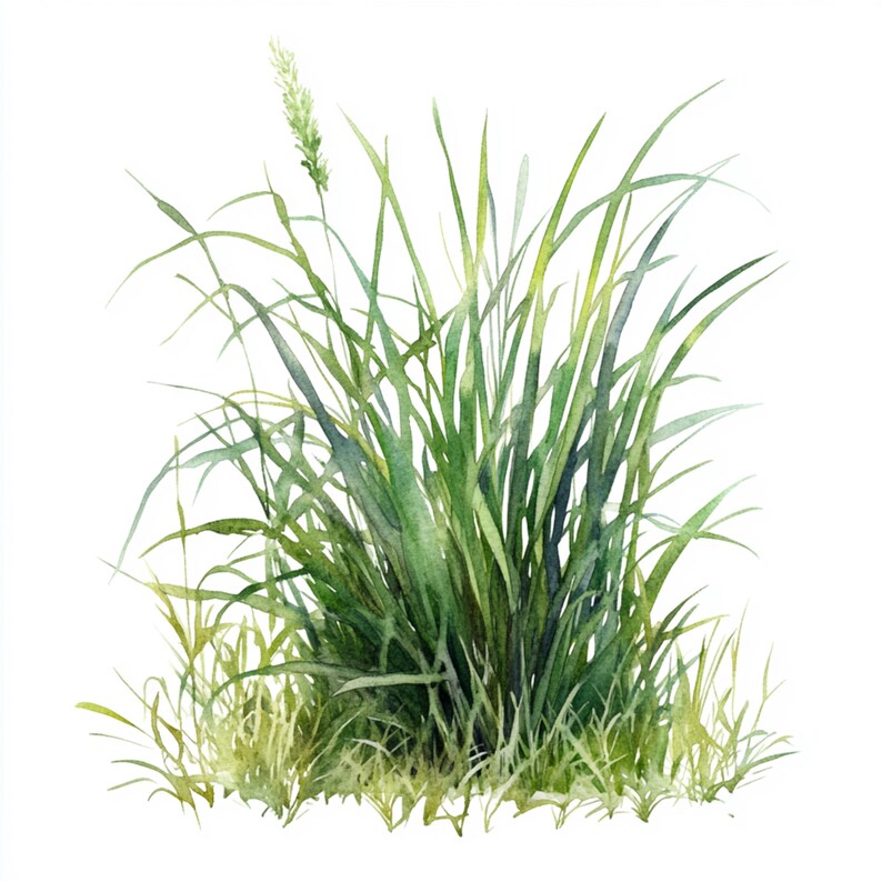 Printable Madow Grass Decor, Watercolor Grassland Flowers, Grass ...