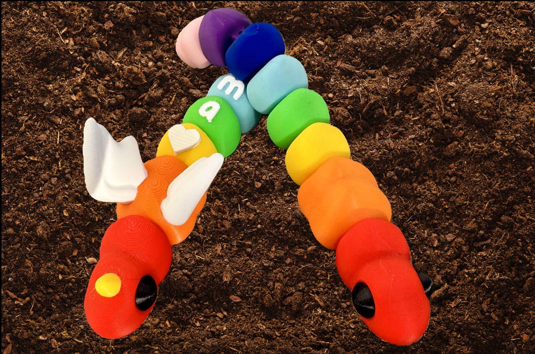 3D Printed Articulated Customized Worm Fidget Toy for Stress Relief - Etsy