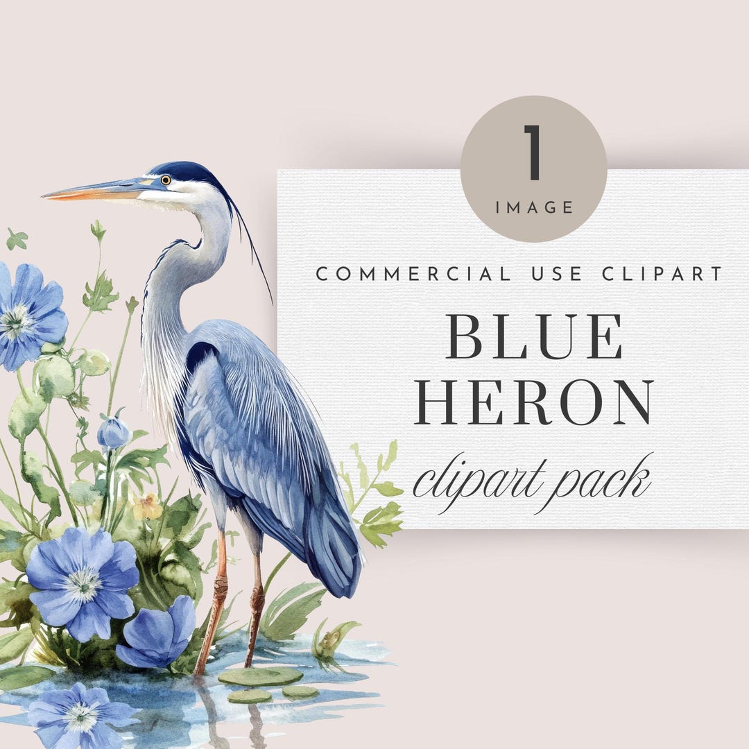 Blue Heron Clipart, Blue Heron Png, Sea Bird Clipart for Commercial Use ...