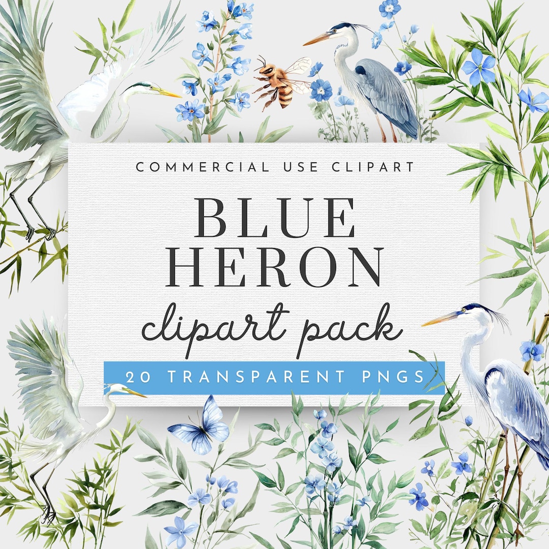 Blue Heron Clipart, Blue Heron Png, Sea Bird Clipart for Commercial Use ...