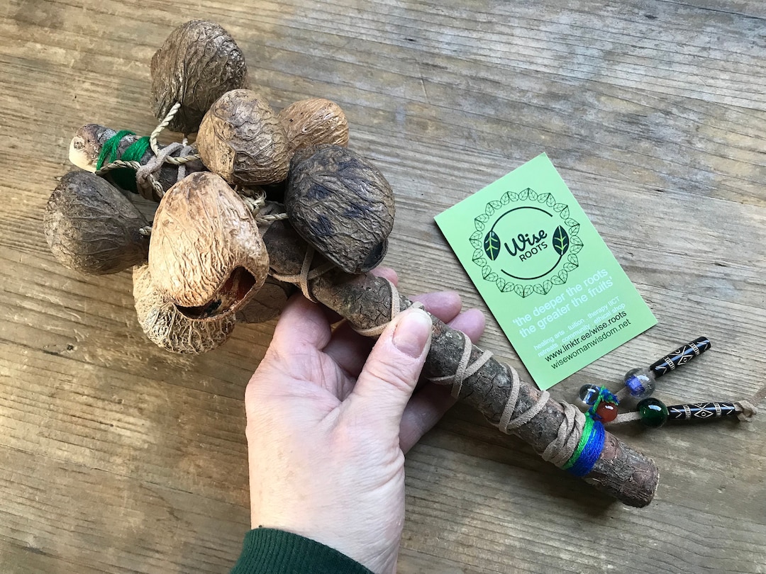 OAK RATTLE Seed Pod Shaker Protection Tapar Calabash Beech Wood ...